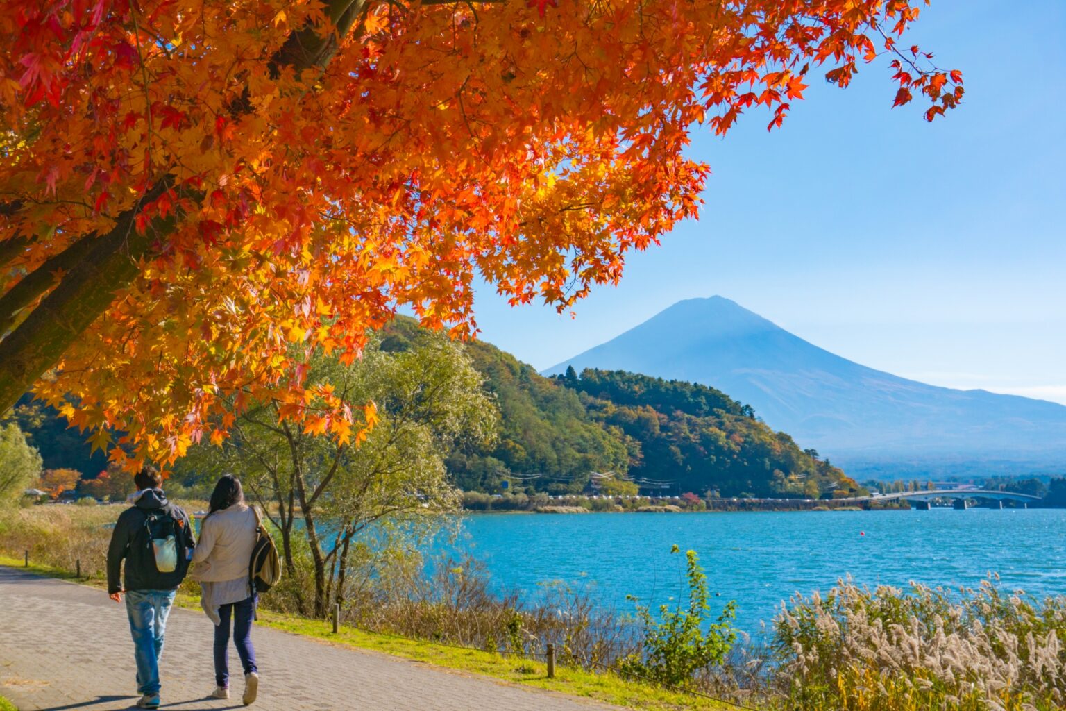 Top 10 Must-See Mount Fuji Tourist Attractions: Your Ultimate Guide